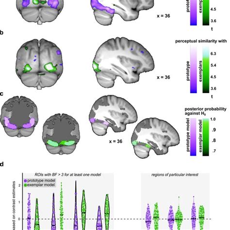 Univariate Prototype And Exemplar Representations N 62 Download Scientific Diagram