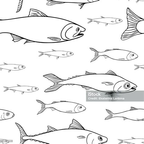 바다 물고기 학교 검은 흰색 벡터 완벽 한 패턴 연어 멸치 윤곽선 손으로 그린 청어 고등어가 반복되는 배경에 그림을 그린다 물고기 떼 그래픽 선형 스타일 인쇄 종이 0명에