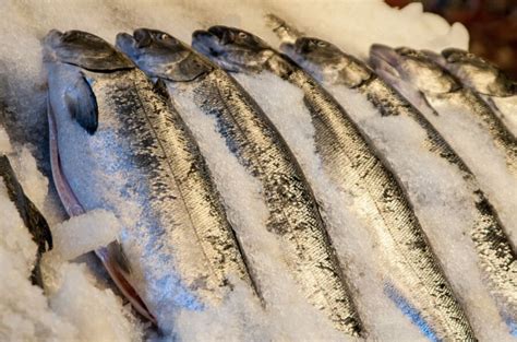 家樂福、大潤發「黃魚」驗出禁藥！吃下肚恐腎病 引新聞
