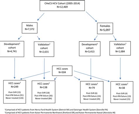 Derivation Of The Model Development And Validation Cohorts Chronic
