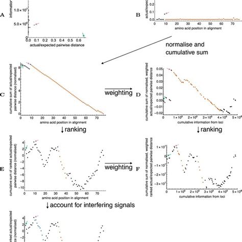 Example Of How Our Gene Alignment Analysis Works Applied To The E Gene