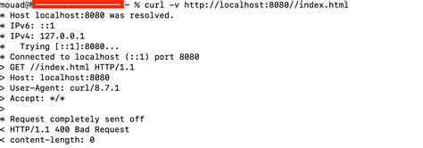 Spring Webflux Authorization Bypass Cve 2024 38821 Explained