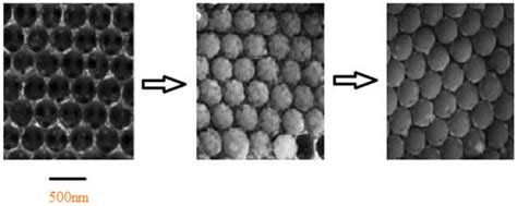 Sem Images Sun Et Al 2019 Yang Et Al 2019 K Zhang Et Al 2019 K