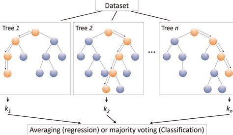 Architectures Of The Random Forest Model Download Scientific Diagram