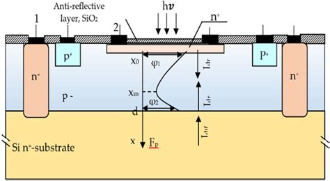 Section Of The Structure And The Direction Of The Photocurrents In The Download Scientific