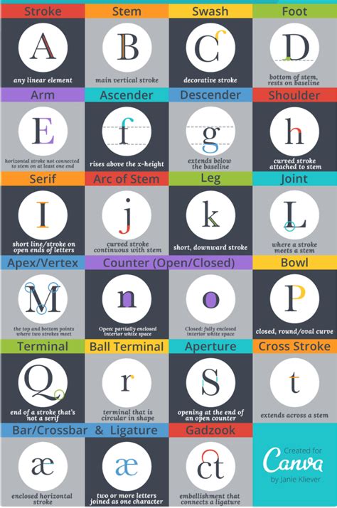 23 Typography Terms Definitions For Beginners Infographic Artofit