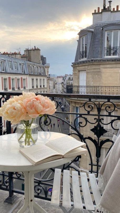 Daisy Flower On Tumblr