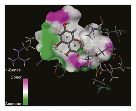 Three Dimensional Molecular Docking Model A Akt1 3mv5 B