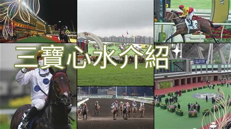 綠茵快活group~24～25賽季 三寶心水介紹 10月23日（星期三）沙田八場賽事（全天候跑道）開跑時間：19：15 賽馬賽馬貼士