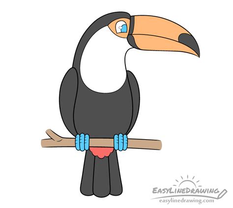 How To Draw A Toucan Step By Step EasyLineDrawing