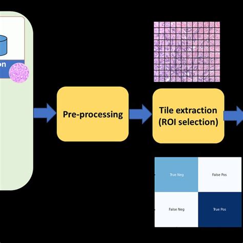 Illustring Typical Framework For Pathology Wsi Classification With Deep Download Scientific