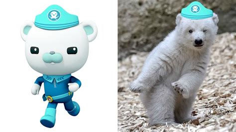 Octonauts Real Life