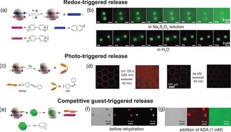 Cucurbit N Uril Based Microcapsules Self Assembled Within Microfluidic Droplets A Versatile