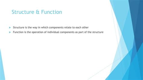 introduction lec 1 ppt free download