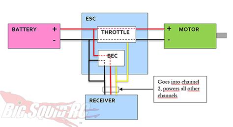 Losing Grip To BEC Or Not To BEC Big Squid RC RC Car And Truck News Reviews Videos And