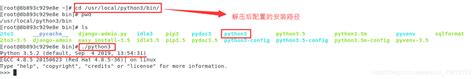 基于docker（纯净centos系统）打包centos7python3的镜像 Csdn博客