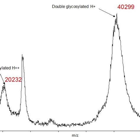 Figure S1 Representative Chromatogram Showing The Fplc Separation Of