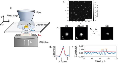 Operando Optical Imaging By Interference Reflection Microscopy Of Nb Download Scientific