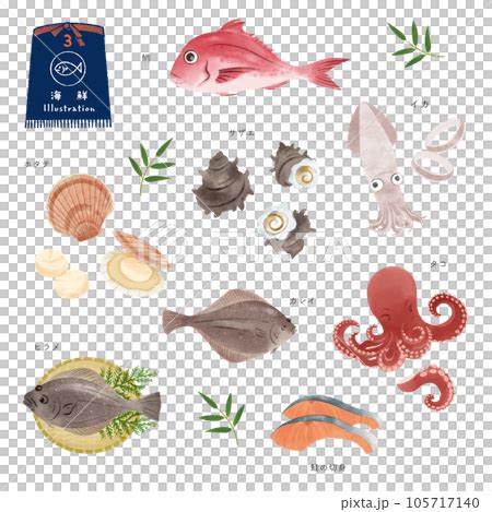 各種魚水彩插畫集3 插圖素材 105717140 PIXTA圖庫