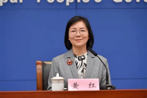 她任重庆市大渡口区区长