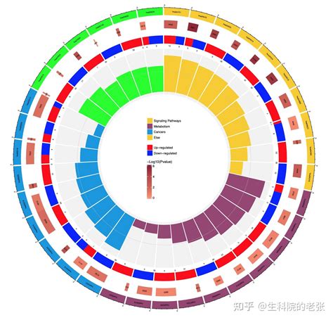 最全的go Kegg Gsea分析教程r你要的高端可视化都在这啦！ 包含富集圈图 知乎