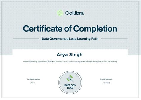 Arya Singh On Linkedin Datagovernance Datagovernancelead