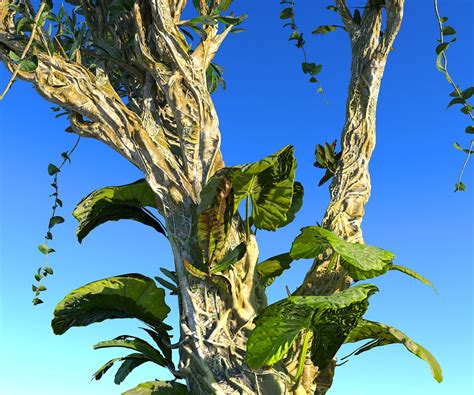 3d rain forest ecosystems pack turbosquid 1466058