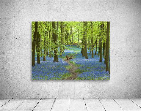 Azure Pathway By Assaf Frank Wall Art