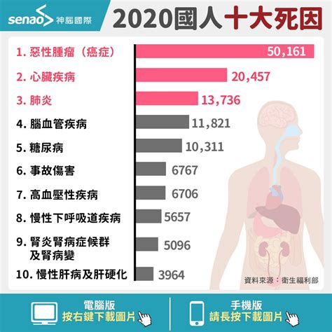 保健情報2020國人十大死因出爐這3種癌症最奪命 神腦生活誌
