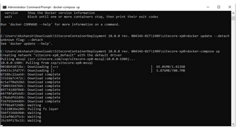 Installing Sitecore 100 On Docker Windows Containers Score