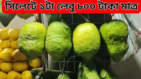সিলেটের বন্দর বাজারে জারা লেবু পিস ৮০০ টাকা মাত্র Youtube