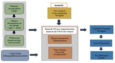 A Training Pipeline For Experiment Download Scientific Diagram