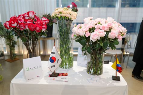 ‘꽃 월드컵 준우승 콜롬비아”한국 시장은 흥미로운 도전” 시사저널