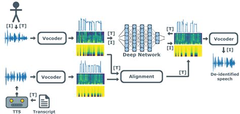 schematic diagram of our proposed method training [t] vocoded human