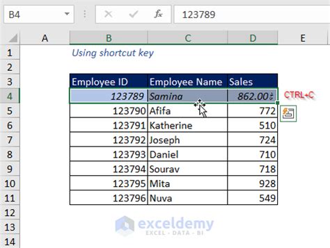 Copy Formatting Shortcut Excel Moplasanfrancisco