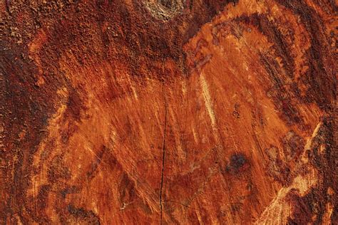 Abstract Pattern Longan Tree Core Texture Background 70489967 Stock