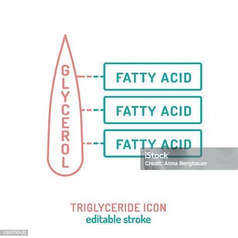 트리글리세리드 구조 아이콘입니다 글리세롤 골격은 세 가지 지방산에 연결되어 있습니다 개념에 대한 스톡 벡터 아트 및 기타 이미지 개념 건강관리와 의술 건강한 생활방식