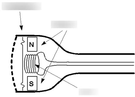 Moving Coil Microphone Diagram Quizlet