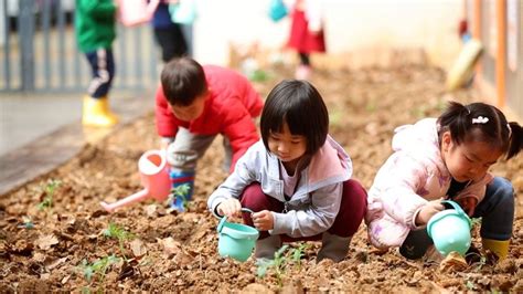 食物从哪里来武汉一幼儿园开辟菜园给孩子种瓜点豆 凤凰网视频 凤凰网