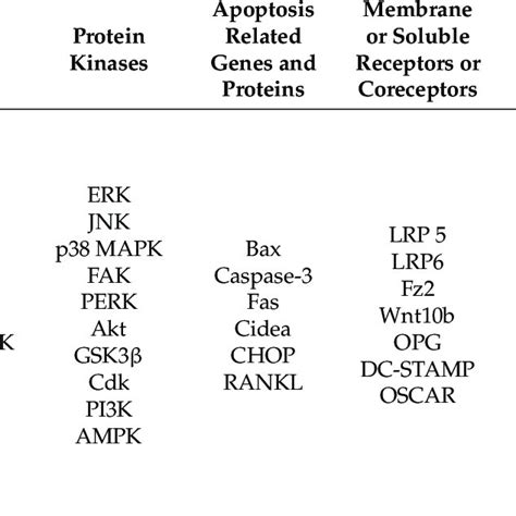 Biomolecules Involved In The Mesodermal Differentiation Of Mesenchymal Download Scientific