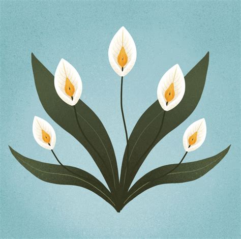 Adobe Aero Tutorial AR Elixir Heather Dunaway Smith XR Artist