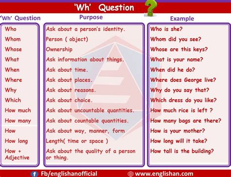 Questions Words Types Rules With Examples Nouns And Pronouns Wh Questions Helping Verbs