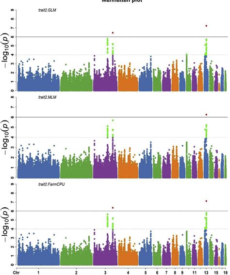 Figure 1 From A Genome Wide Single Nucleotide Polymorphism Scan Reveals