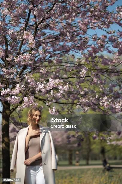 아름 다운 금발 젊은 여 자가 봄 벚꽃 공원에서 자연과 자유 시간을 즐기는 그녀의 여행 관광 자유 시간을 입고 흰색 바지와 T