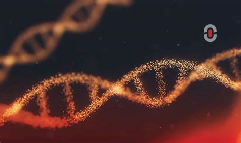 Challenges In Life Sciences Translation For Asian Languages