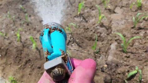 텃밭가꾸기 작물 심고 물주기 Youtube