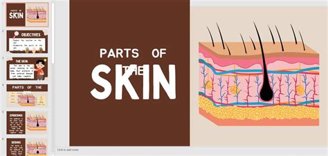 T I Ngay Slide Powerpoint Sinh H C P M T Chuy N Nghi P