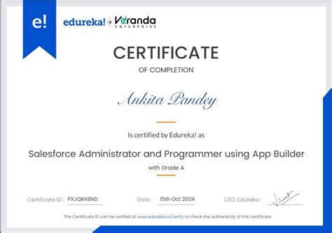 Successfully Completed Salesforce Administrator And Programmer Using
