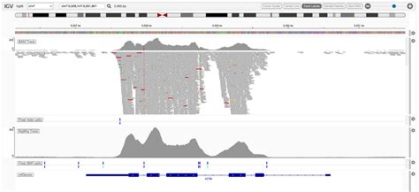 New Scidap Workflow 16s Metagenomic Analysis With Qiime2 By Datirium