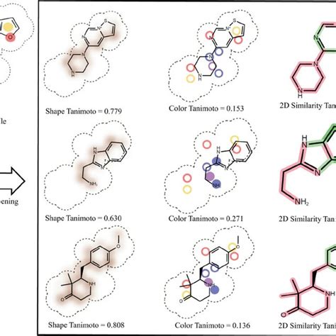 Schematic Representation Of Shape Similarity Functional Group Download Scientific Diagram